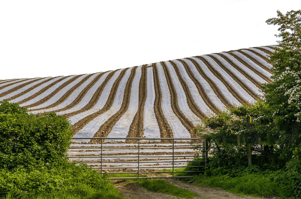 Products and Industries